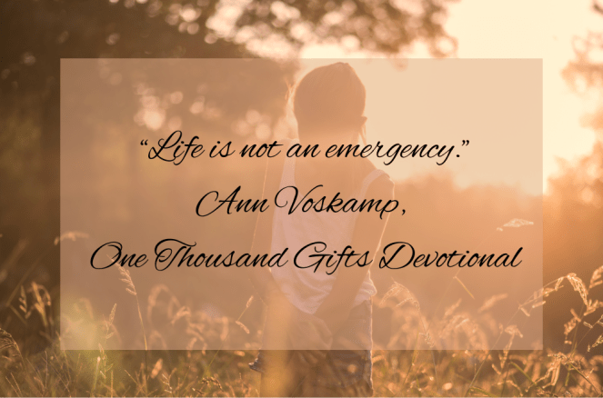 Quote of the Week: “Life is not an emergency” – Edify Write